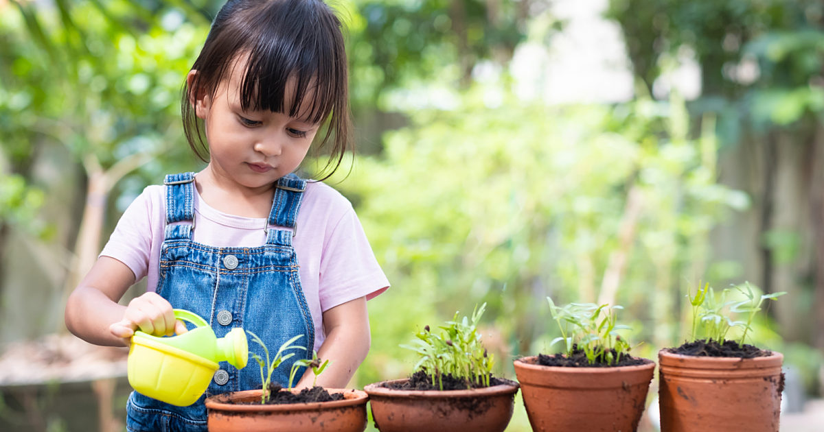 One Story | Planting Seeds